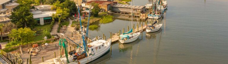 Pitt Street Bridge - Experience Mount Pleasant